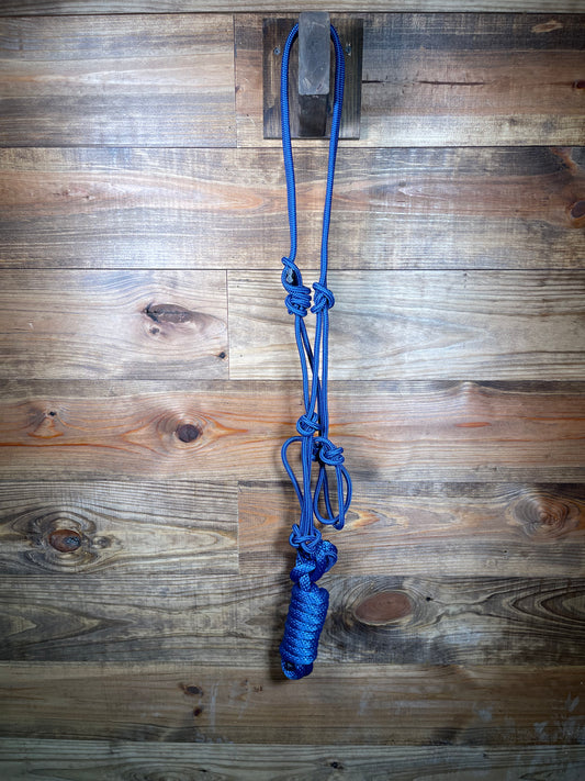 Halters – Trent Ward Saddlery